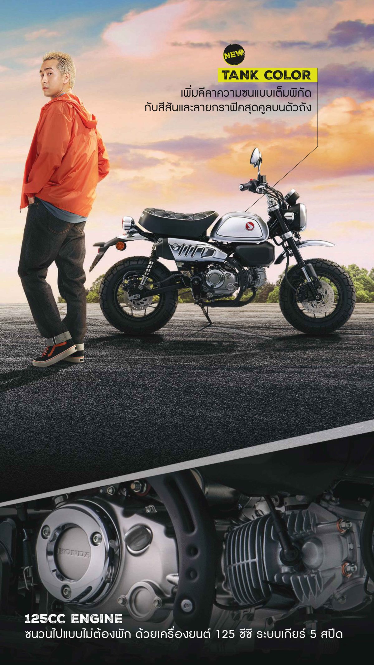 New Monkey Standard – Mityon